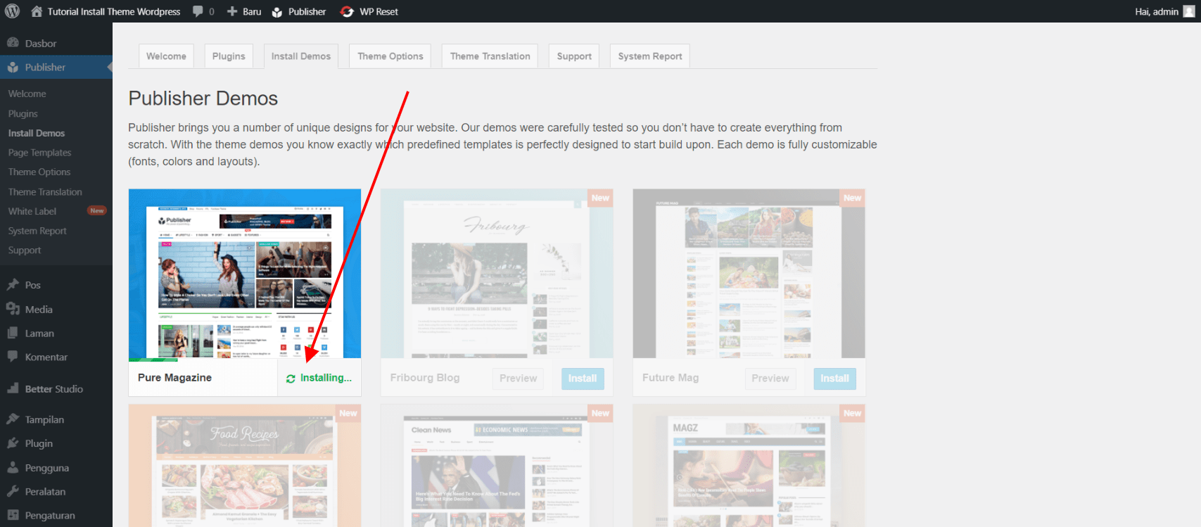 Tutorial install theme Publisher Pro